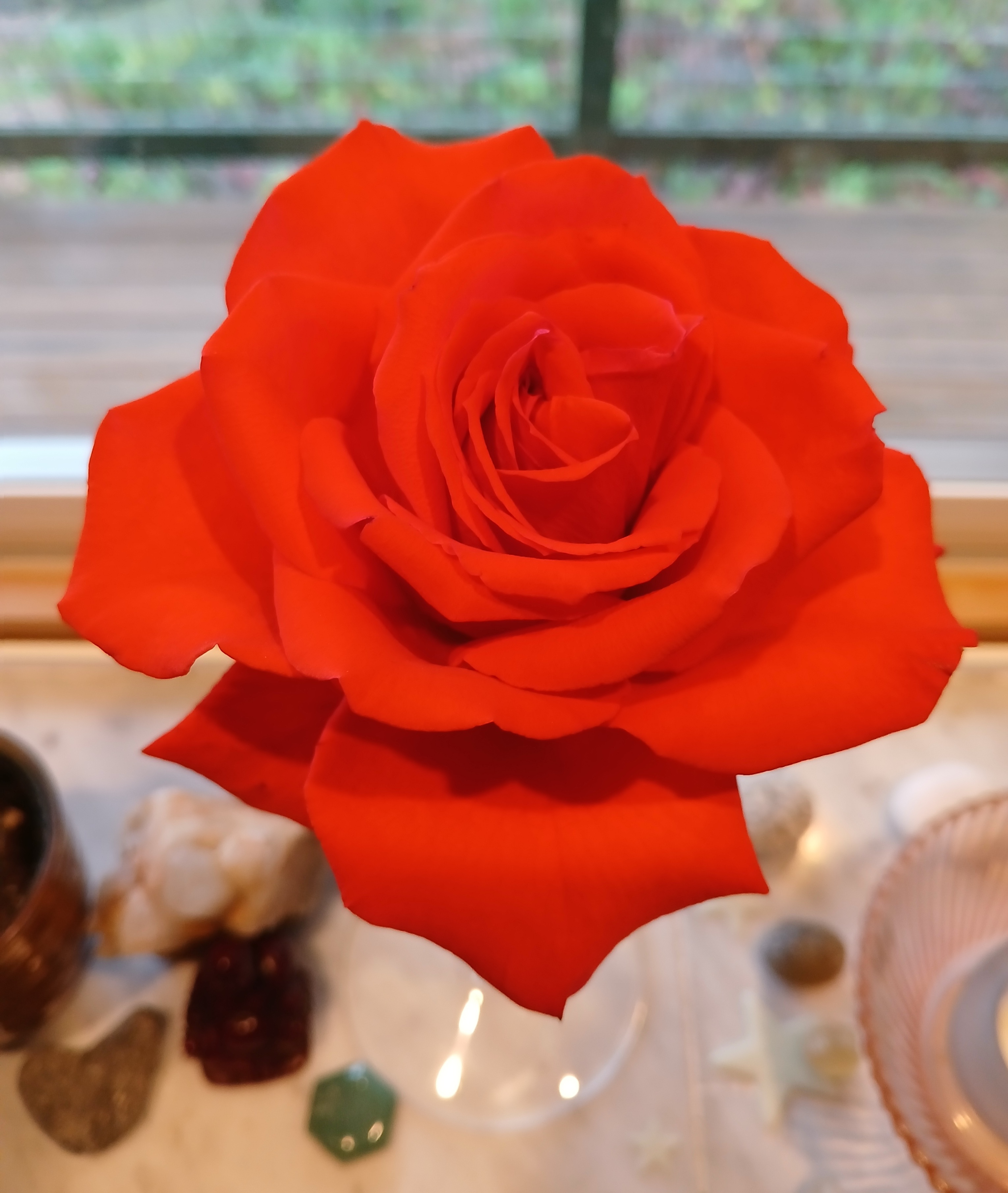“Love does not delight in evil but rejoices with the truth.” | Vlado